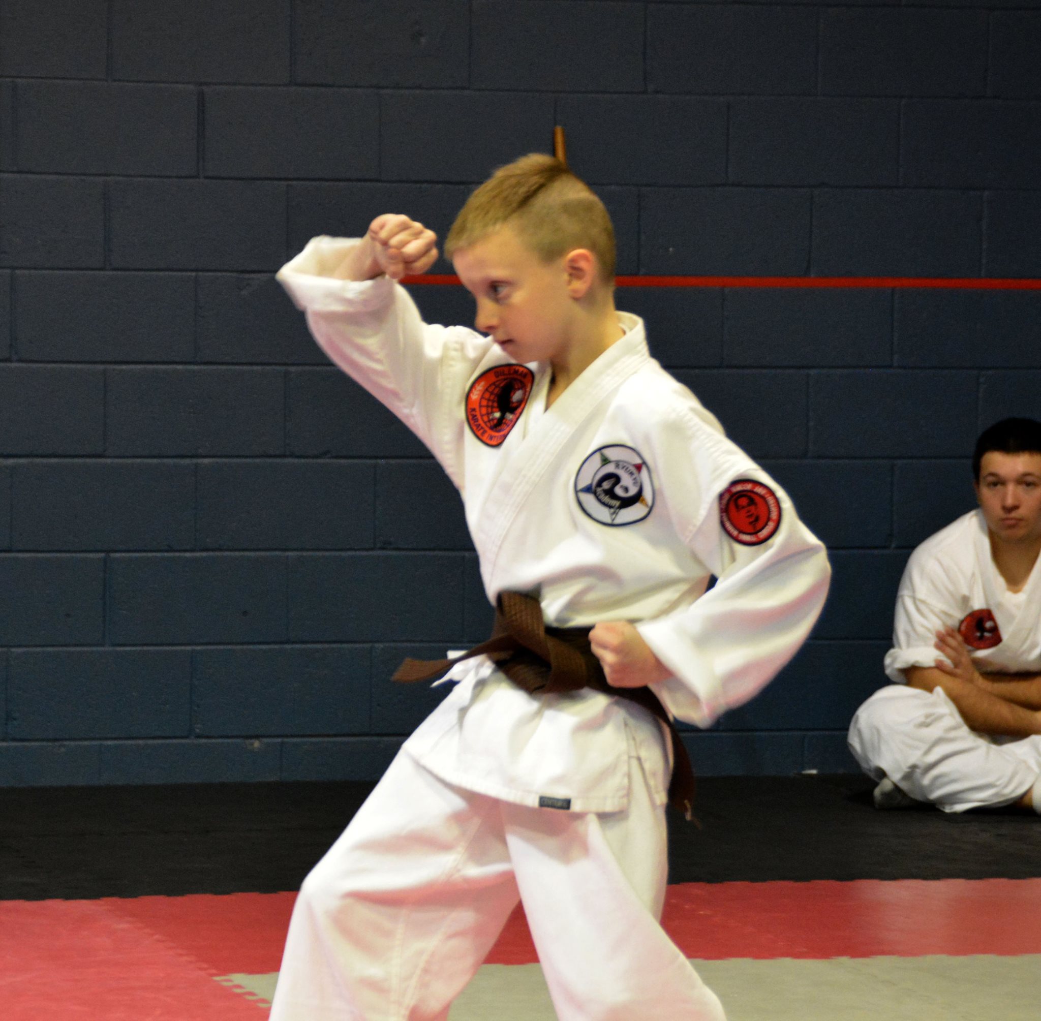 Karate - American Allstars Athletic Center, Commerce MI | American ...